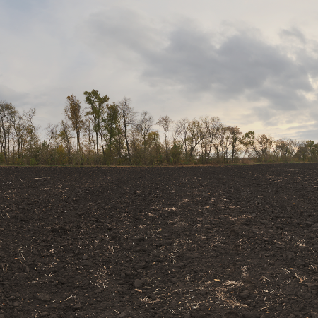 Overcast Soil 2 | FREE Nature HDRis | BlenderKit