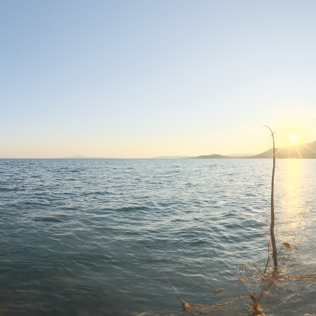 Lakeside Sunrise | FREE Water Environments HDRis | BlenderKit