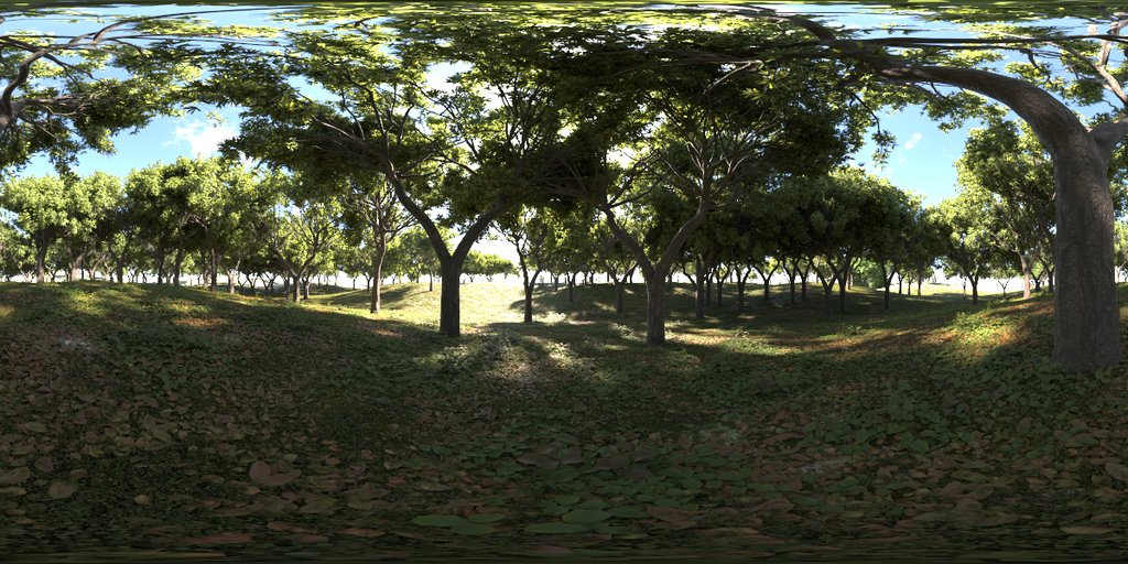 Day Forest HDR optimised 12K | Nature HDRis | BlenderKit