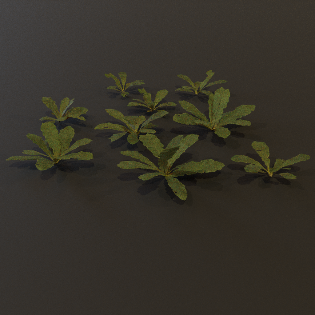 Ground Cover Grass Med | Outdoor Plants models | BlenderKit