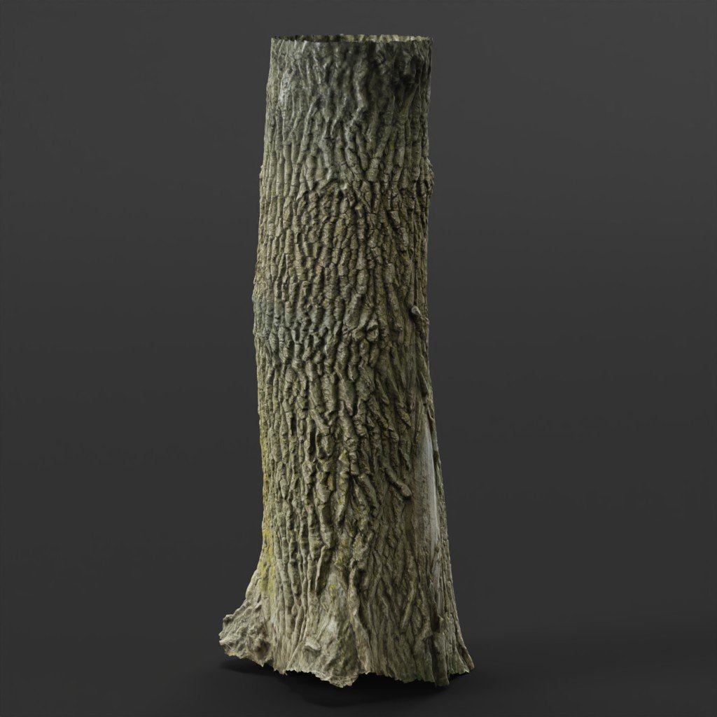 Large Tree Trunk 01 | FREE Trees models | BlenderKit
