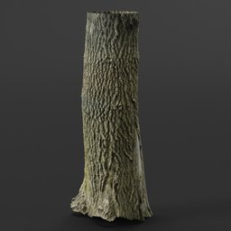 Large Tree Trunk 01 | FREE Trees models | BlenderKit