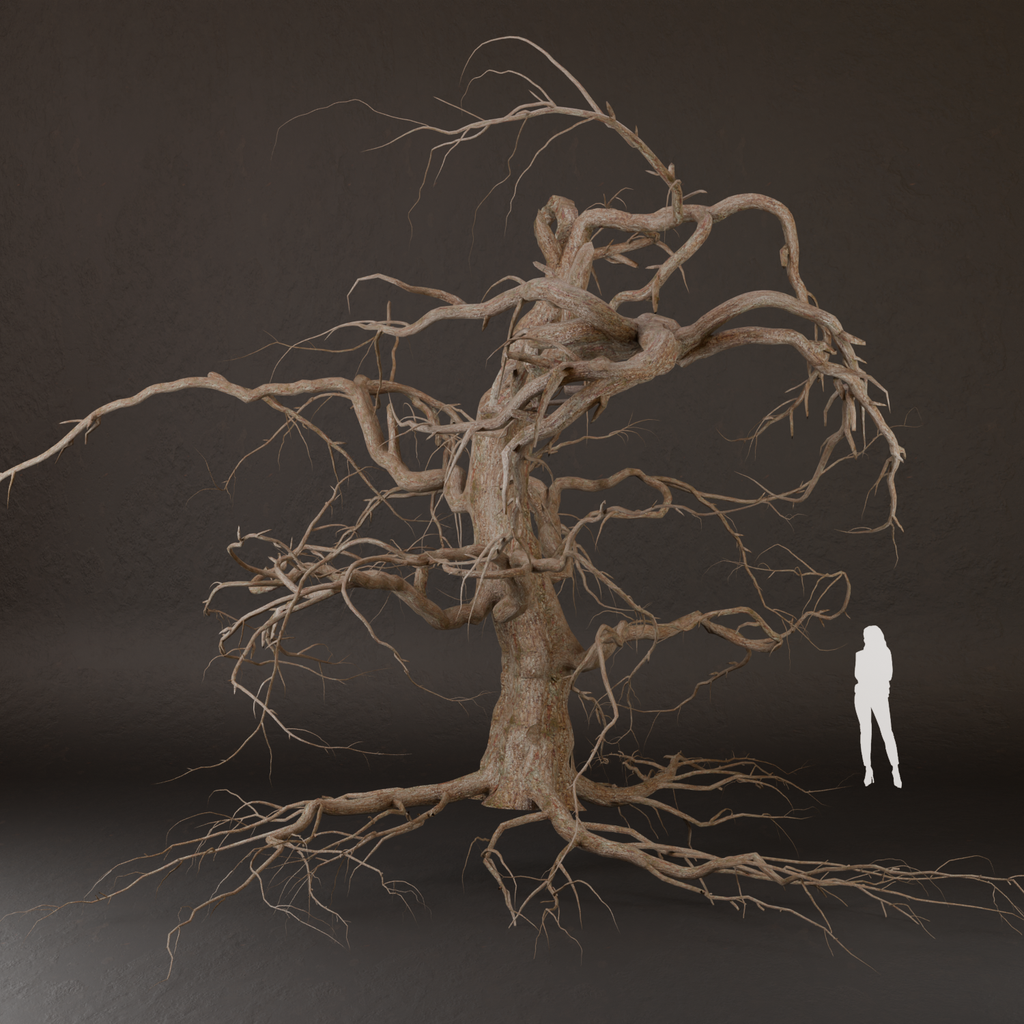 SJ Ancient Dead Tree 3D | Trees models | BlenderKit