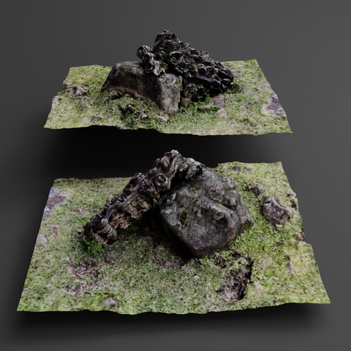 Araucaria Log on Rock | Environment Elements models | BlenderKit