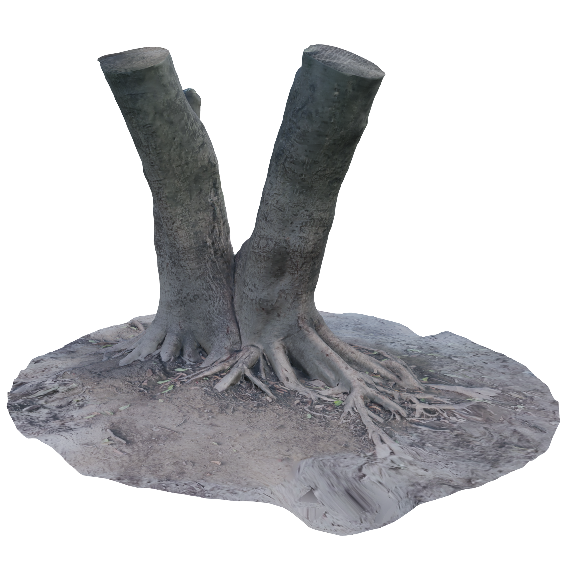 Tree with roots | FREE Trees models | BlenderKit