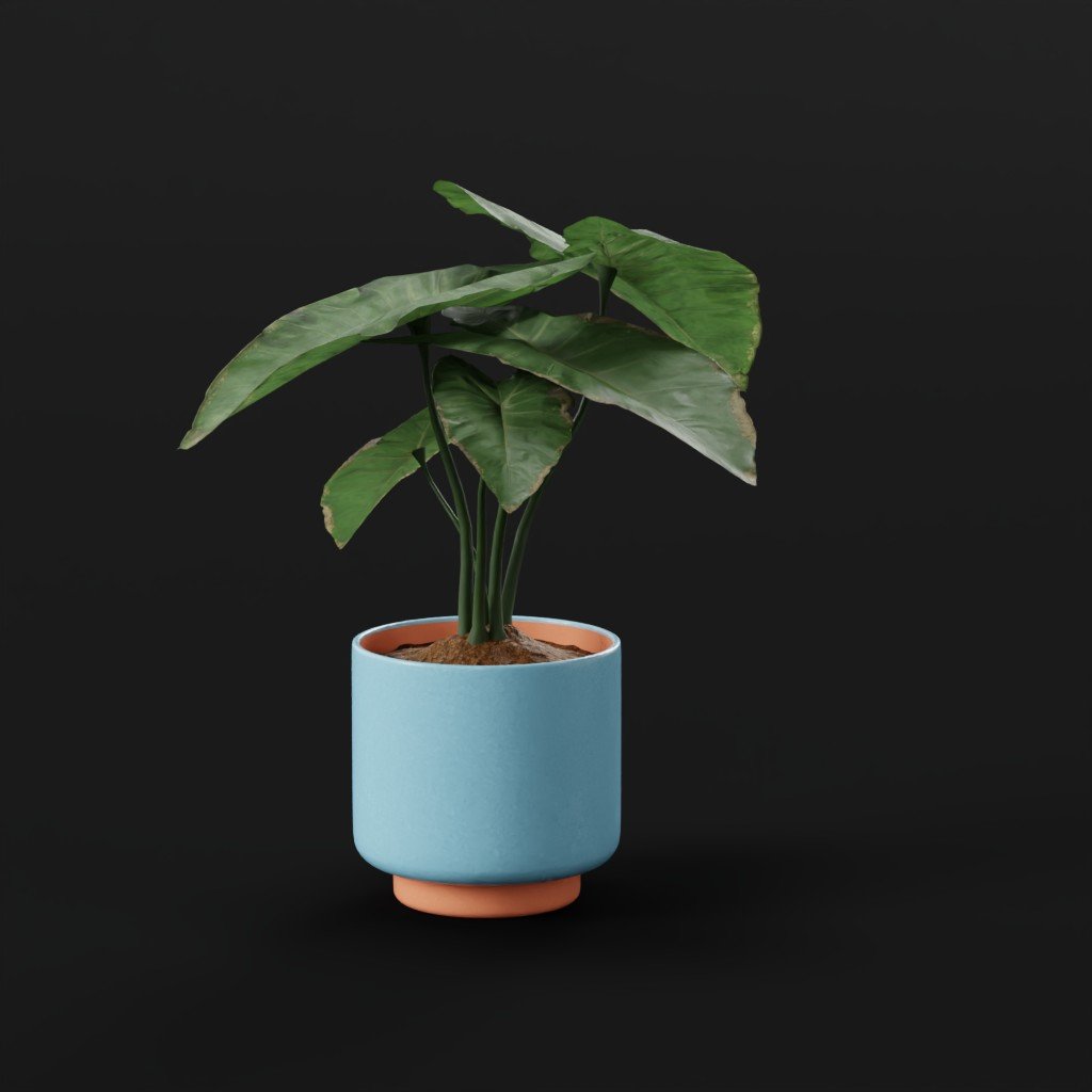 Elephant Ear Taro Tiny Potted | Indoor Plants models | BlenderKit