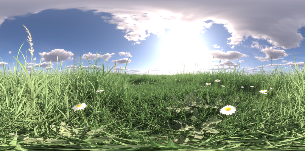 Morning light grass 16k | FREE Nature HDRis | BlenderKit