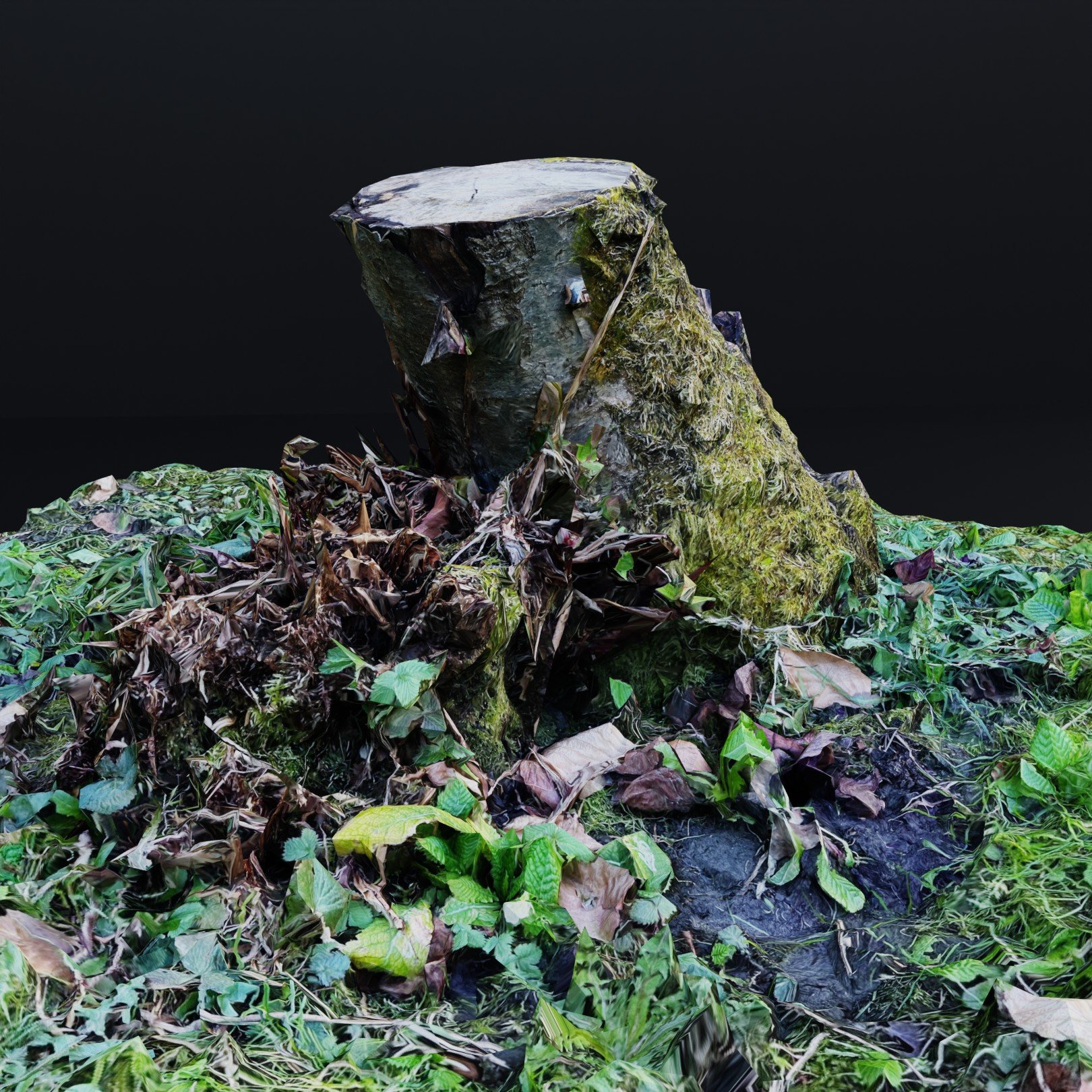 Tree Trunk Small | FREE Environment Elements models | BlenderKit