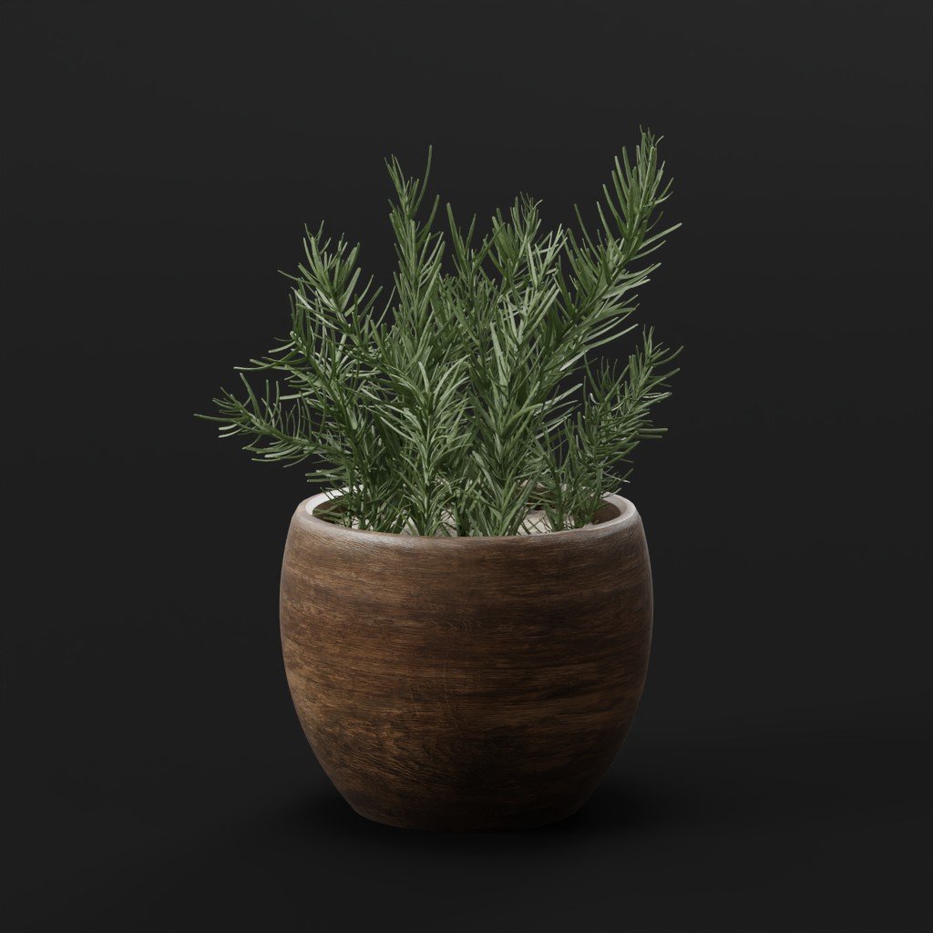 Rosemary Potted Plant | Indoor Plants models | BlenderKit