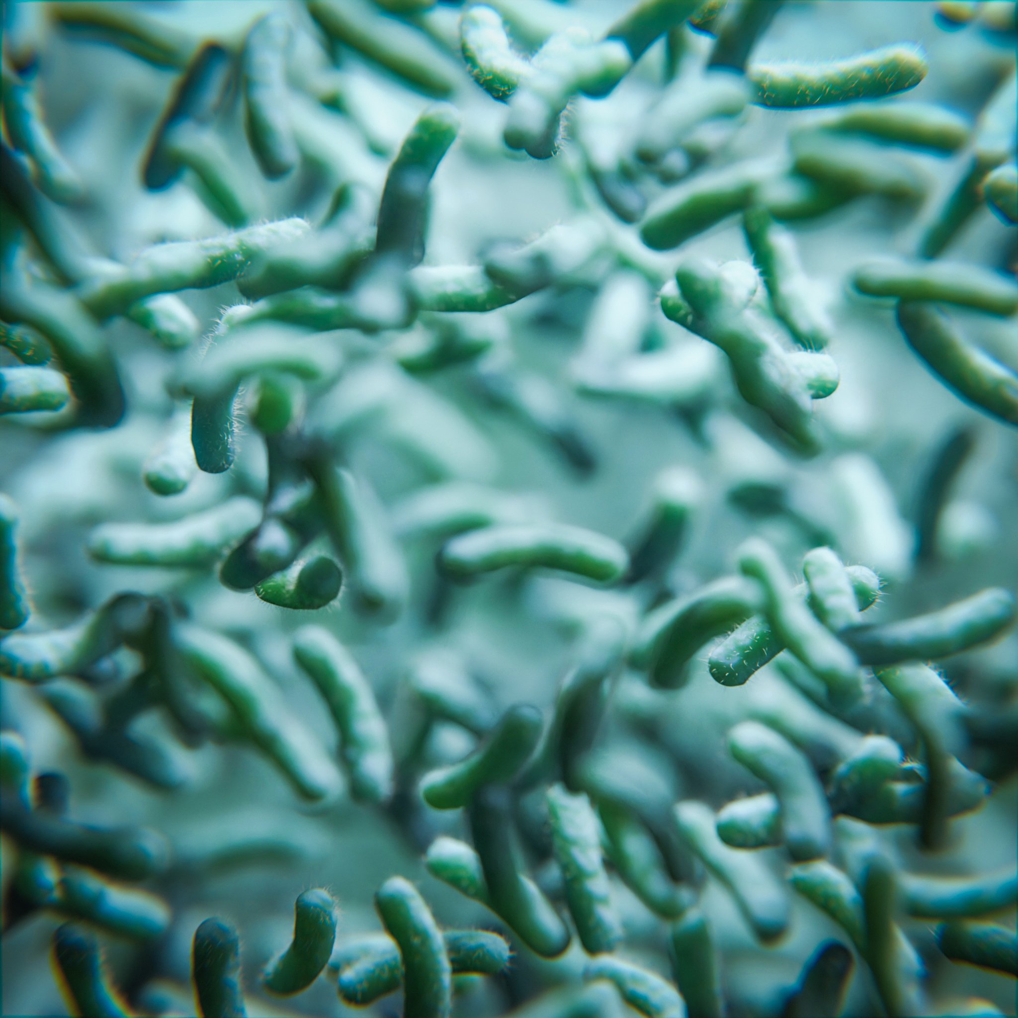 Bacteria under a microscope | Science scenes | BlenderKit