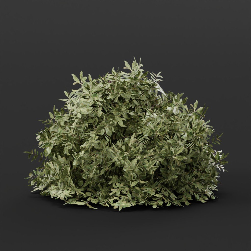 Button Bush Medium Variation | Outdoor Plants models | BlenderKit