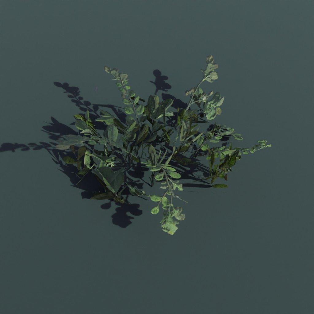 Plant Kinnick Small | Outdoor Plants models | BlenderKit