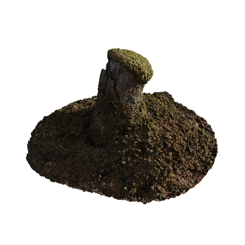 Mossy Stump | FREE Trees models | BlenderKit