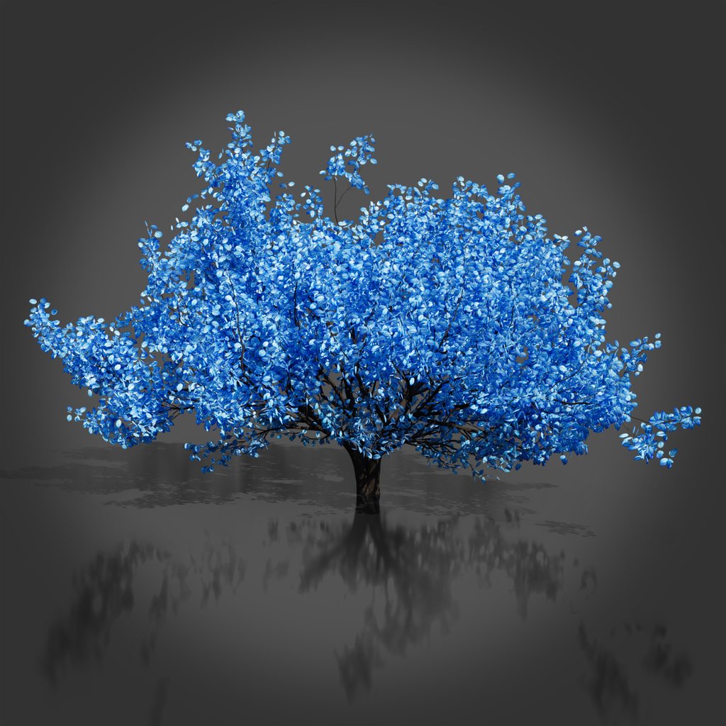 Realistic Tree | Trees models | BlenderKit