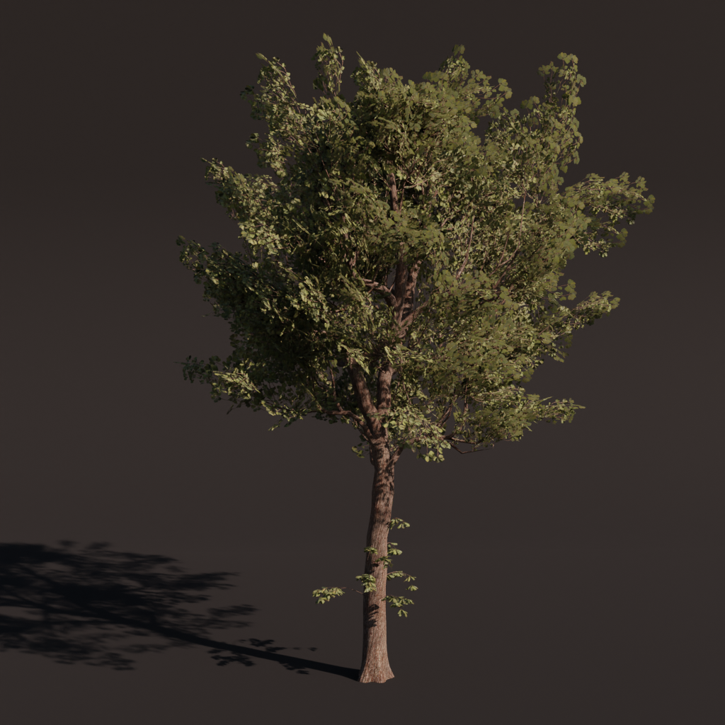 Cut log 04 - remeshed photoscan | FREE 3D Tree models | BlenderKit
