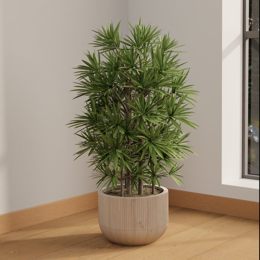 Compact Yucca Green | Indoor Plants models | BlenderKit
