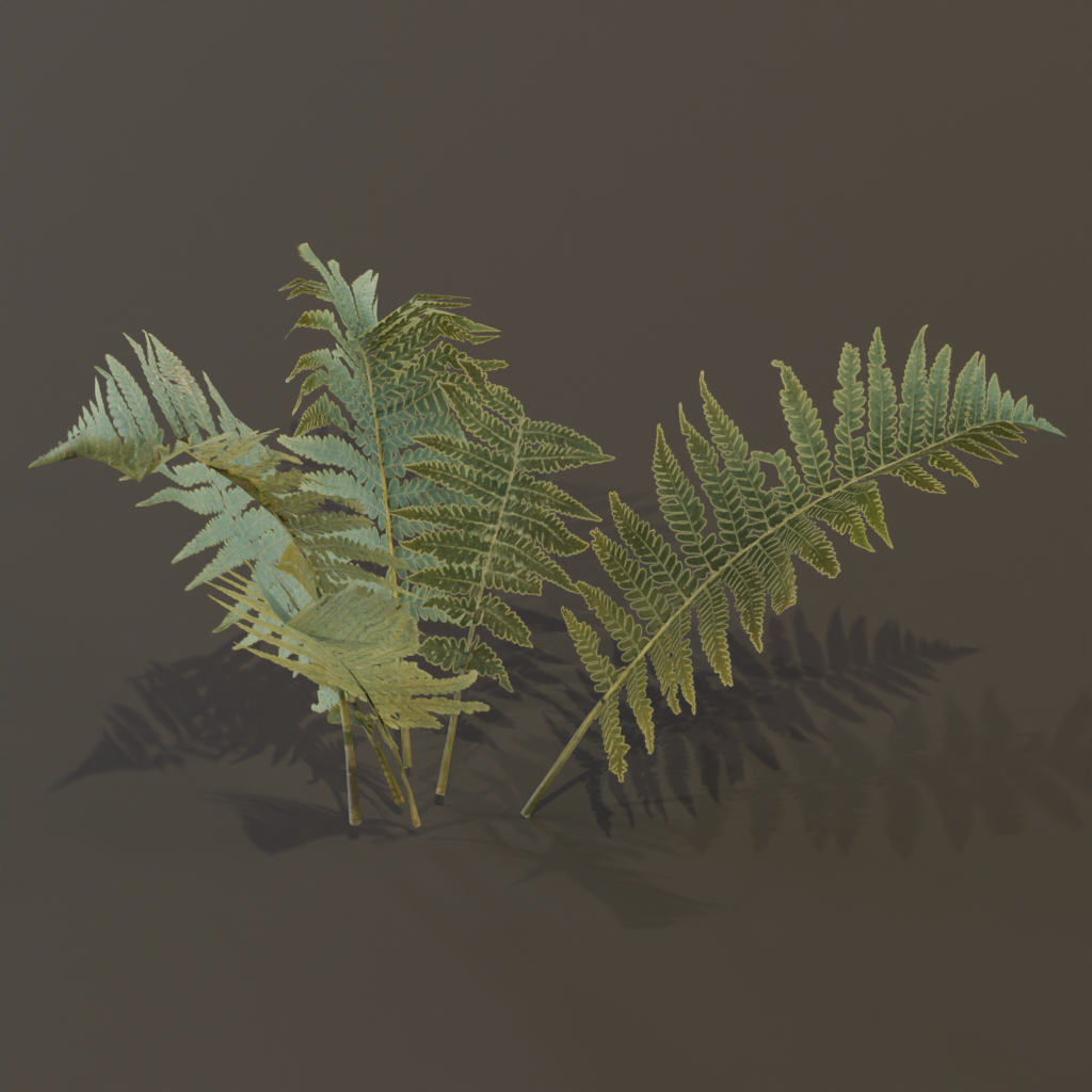 Lady Fern Small | Outdoor Plants models | BlenderKit