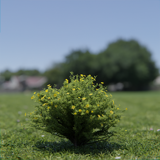 Potentilla Fruticosa | Outdoor Plants models | BlenderKit