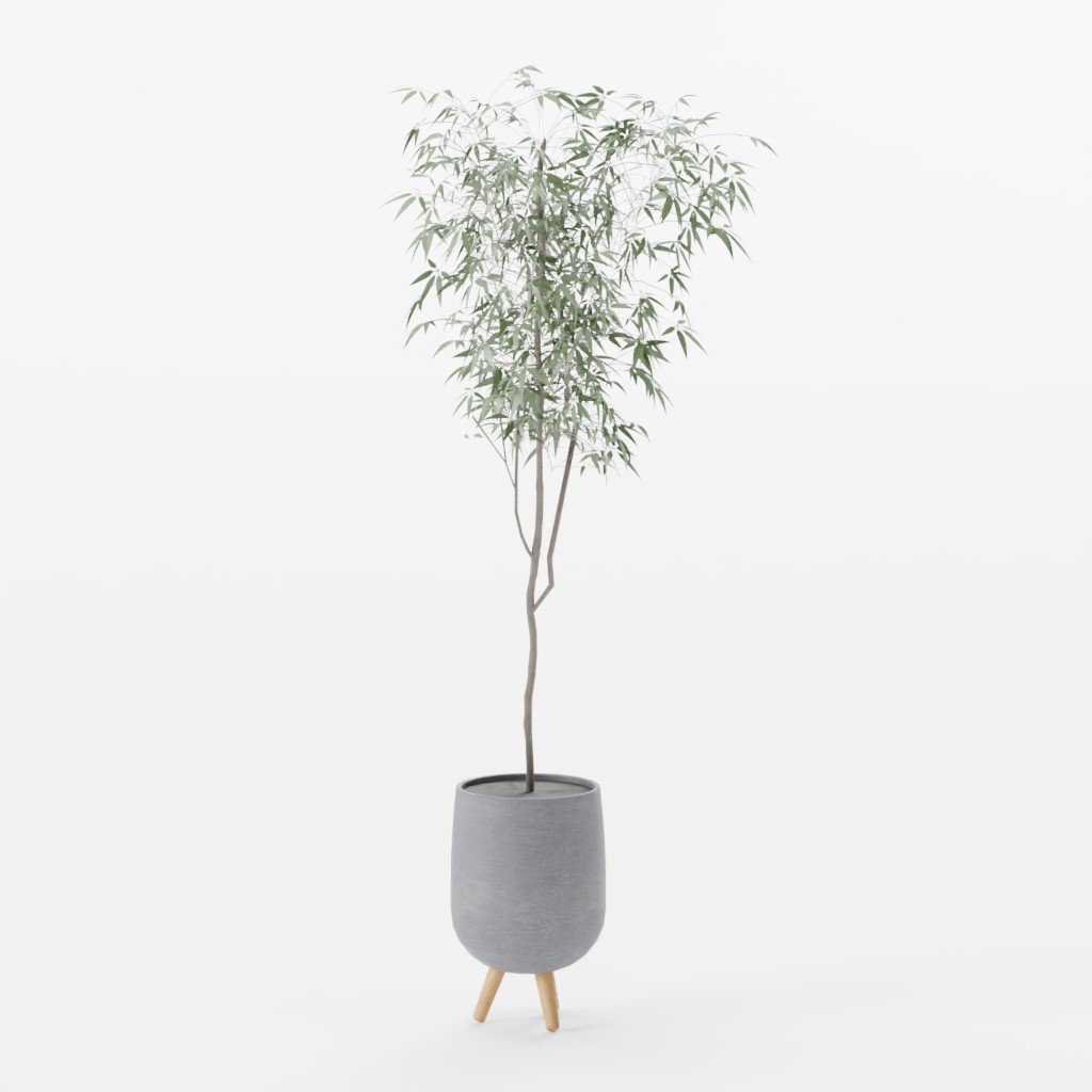 Olive Tree in Planter | Indoor Plants models | BlenderKit