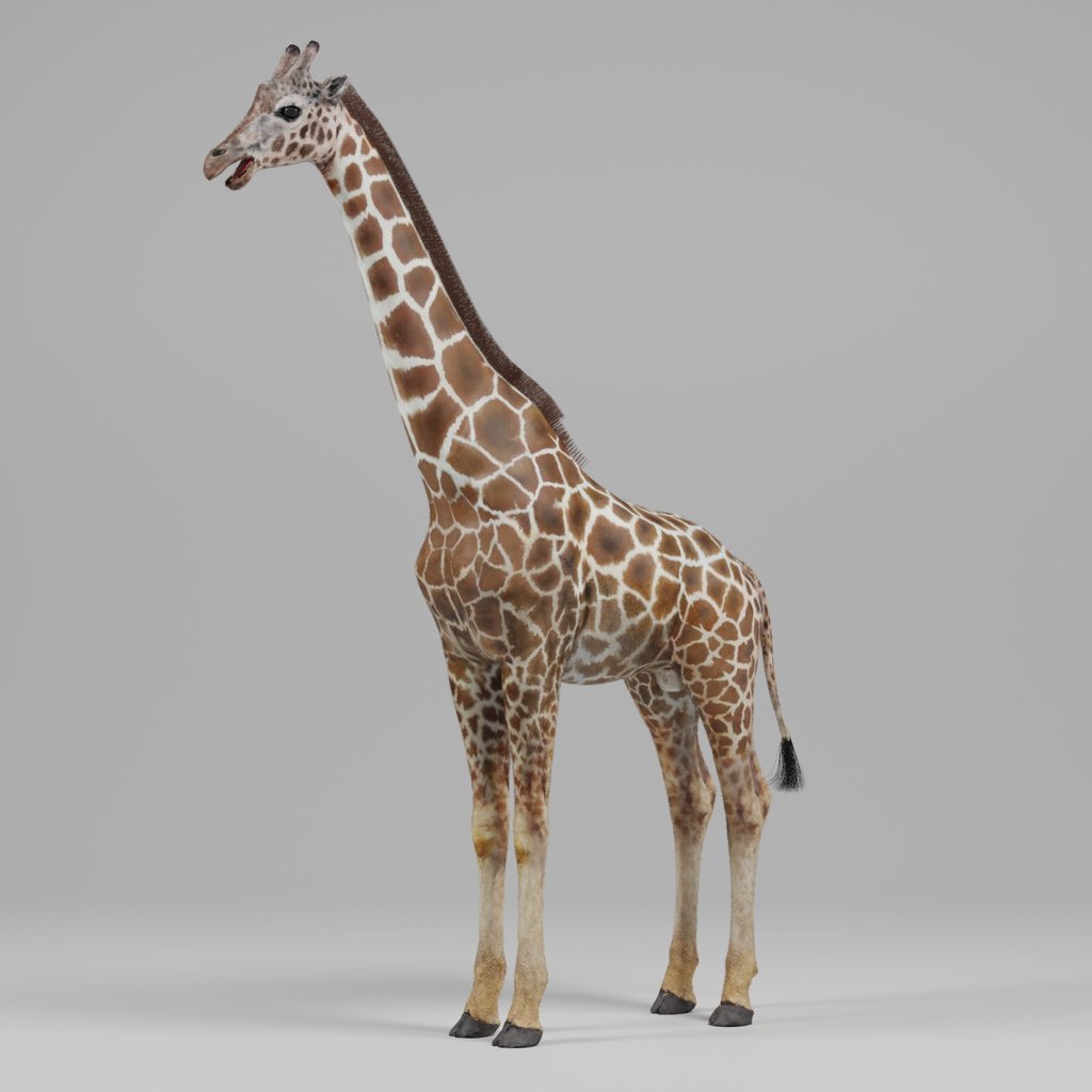 Giraffe | Mammals models | BlenderKit