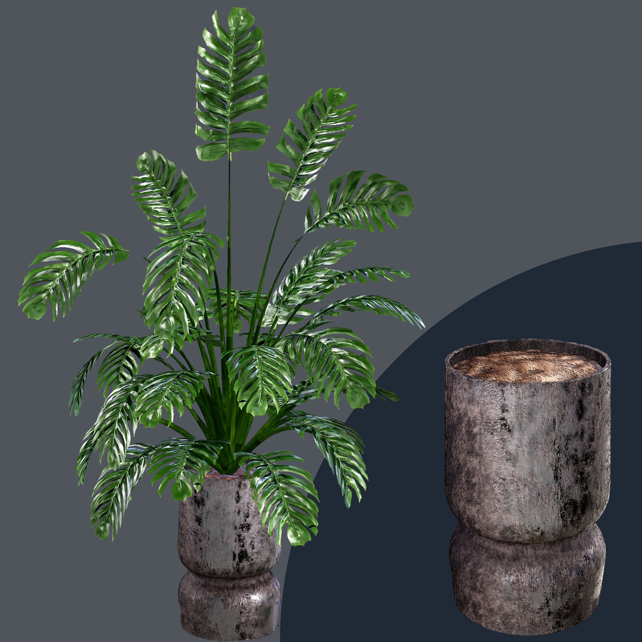 Monstera 03 | FREE Indoor Plants models | BlenderKit