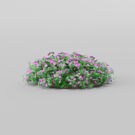 Geranium Max Frei | FREE Outdoor Plants models | BlenderKit