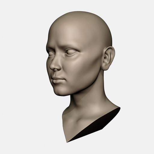Female Head 3D Sculpt | FREE Human Heads models | BlenderKit