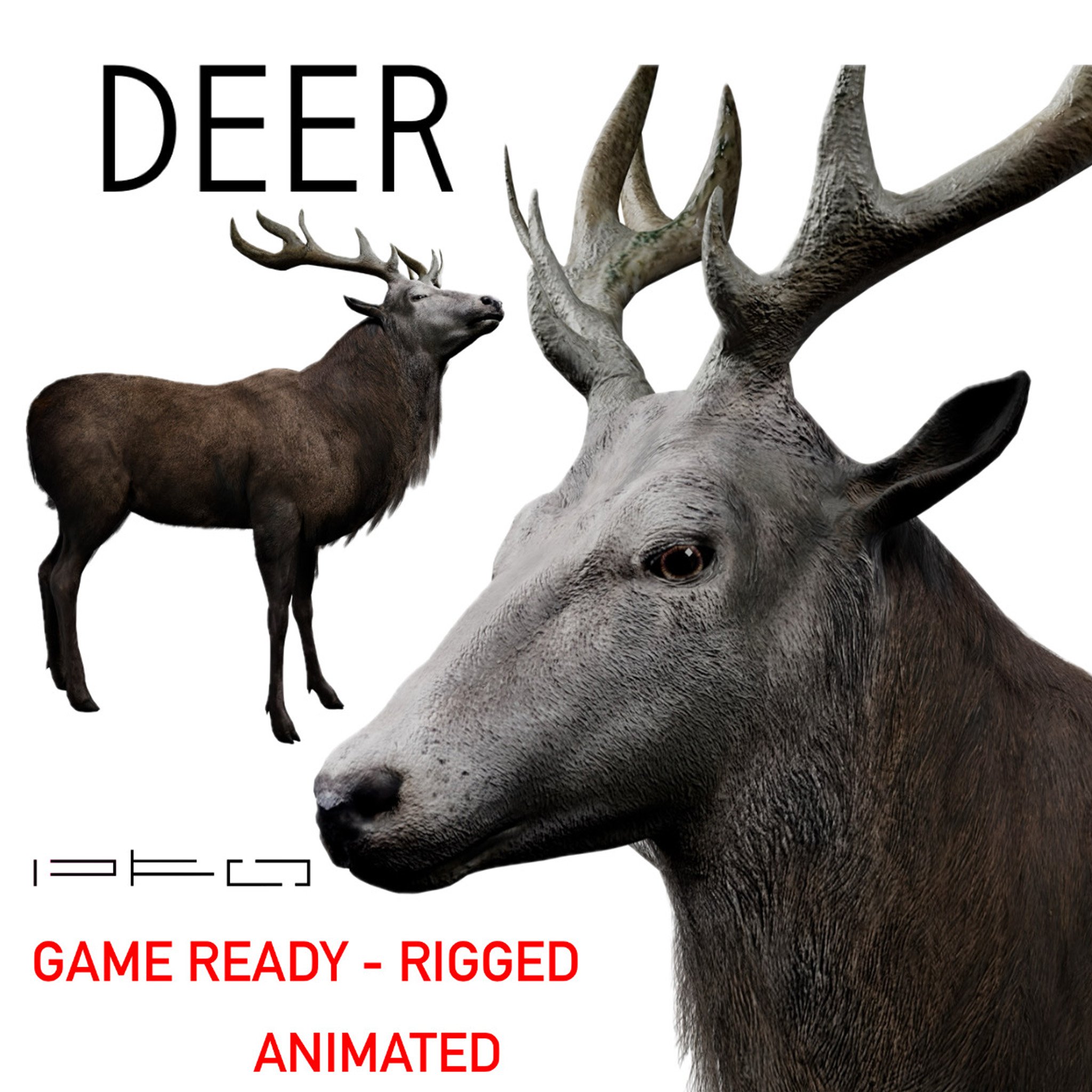 Deer | Mammals models | BlenderKit