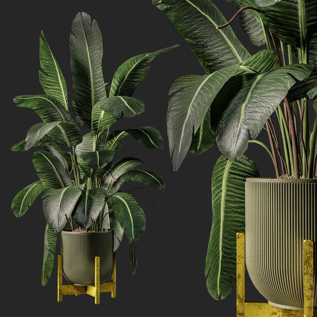 BlenderKit | Download the FREE Plant model