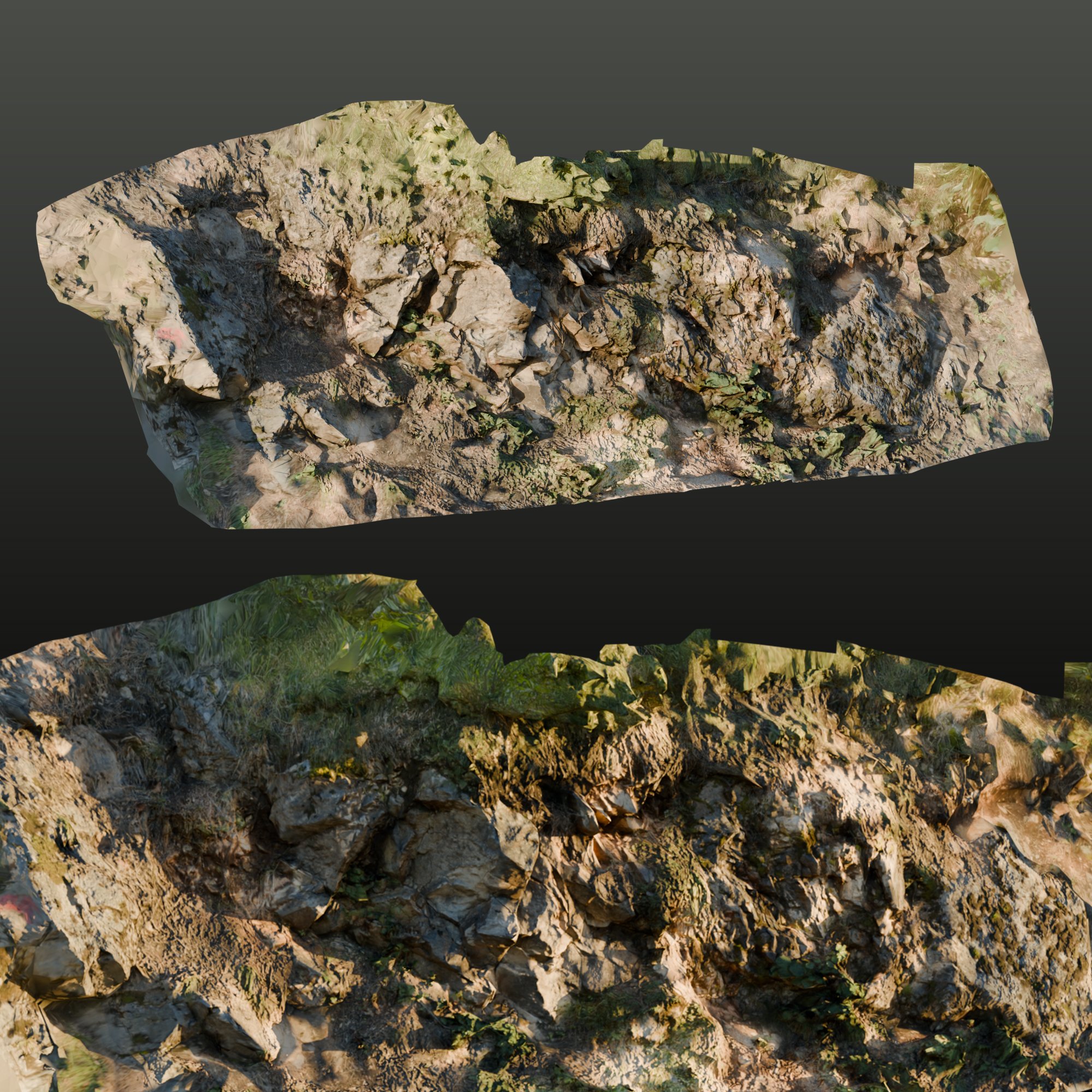 Forest Rocky Ground A | Terrains models | BlenderKit