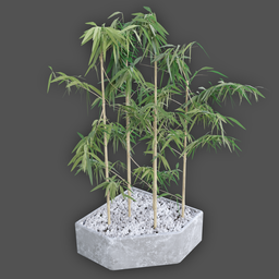 Simple Bamboo Plant | FREE Outdoor Plants models | BlenderKit