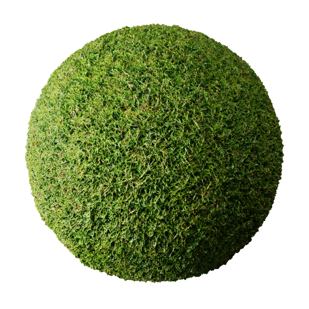 Grass | FREE grass materials | BlenderKit