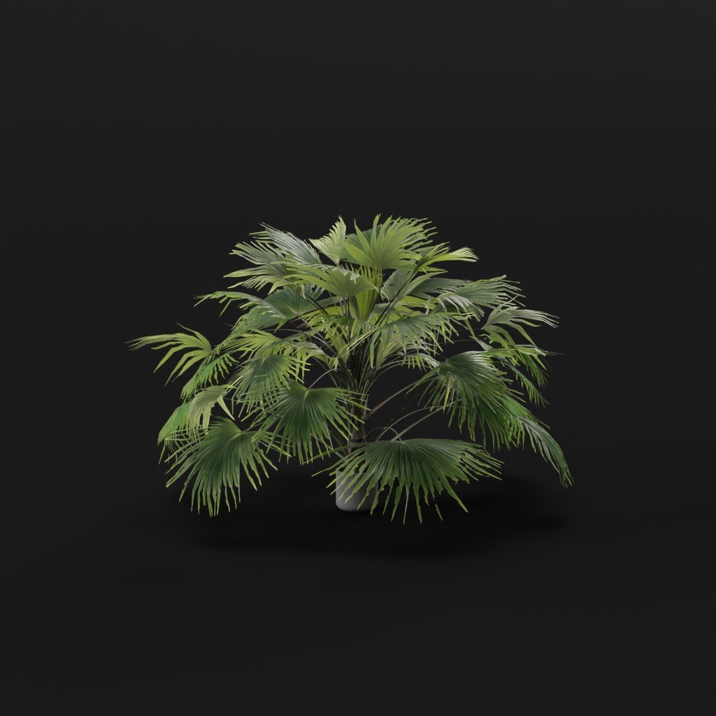 Fan Palm Large Potted | Indoor Plants models | BlenderKit