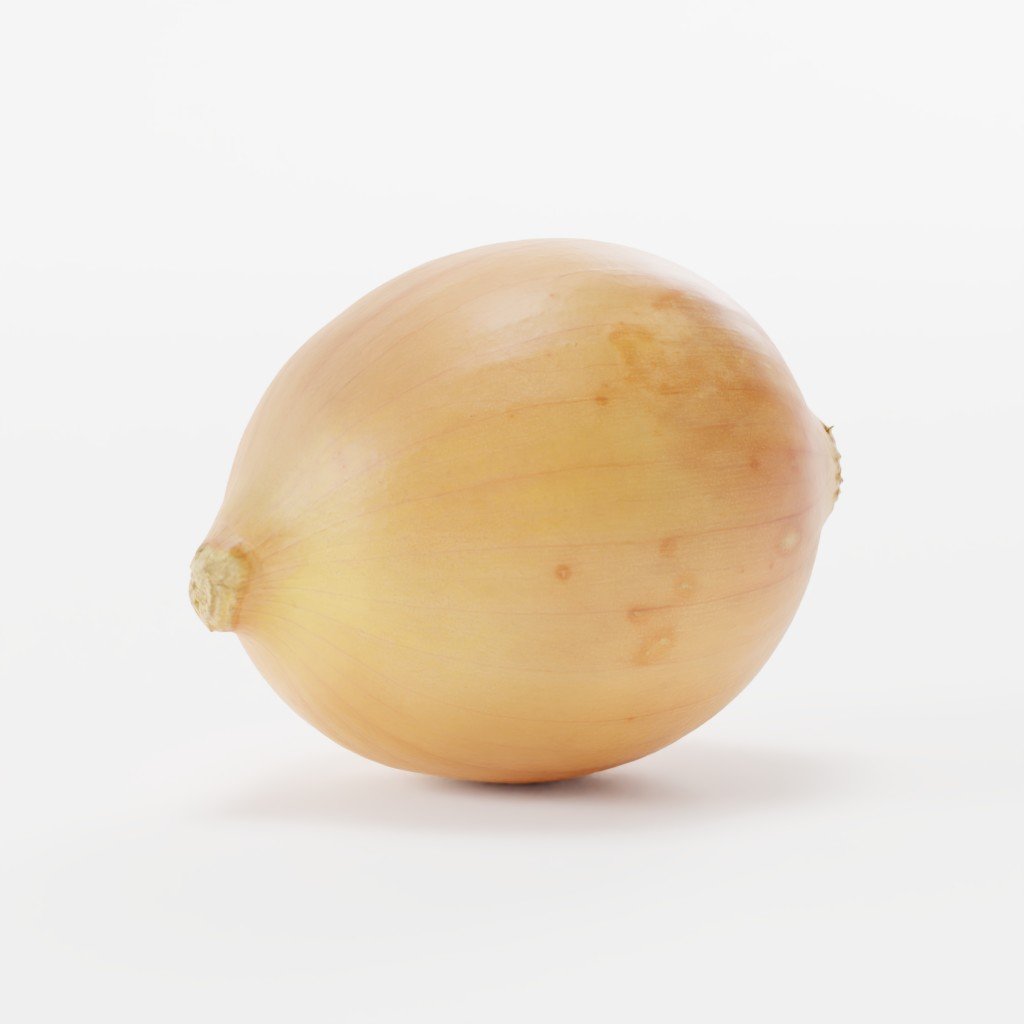 Onion 1 | Fruit & Vegetables models | BlenderKit