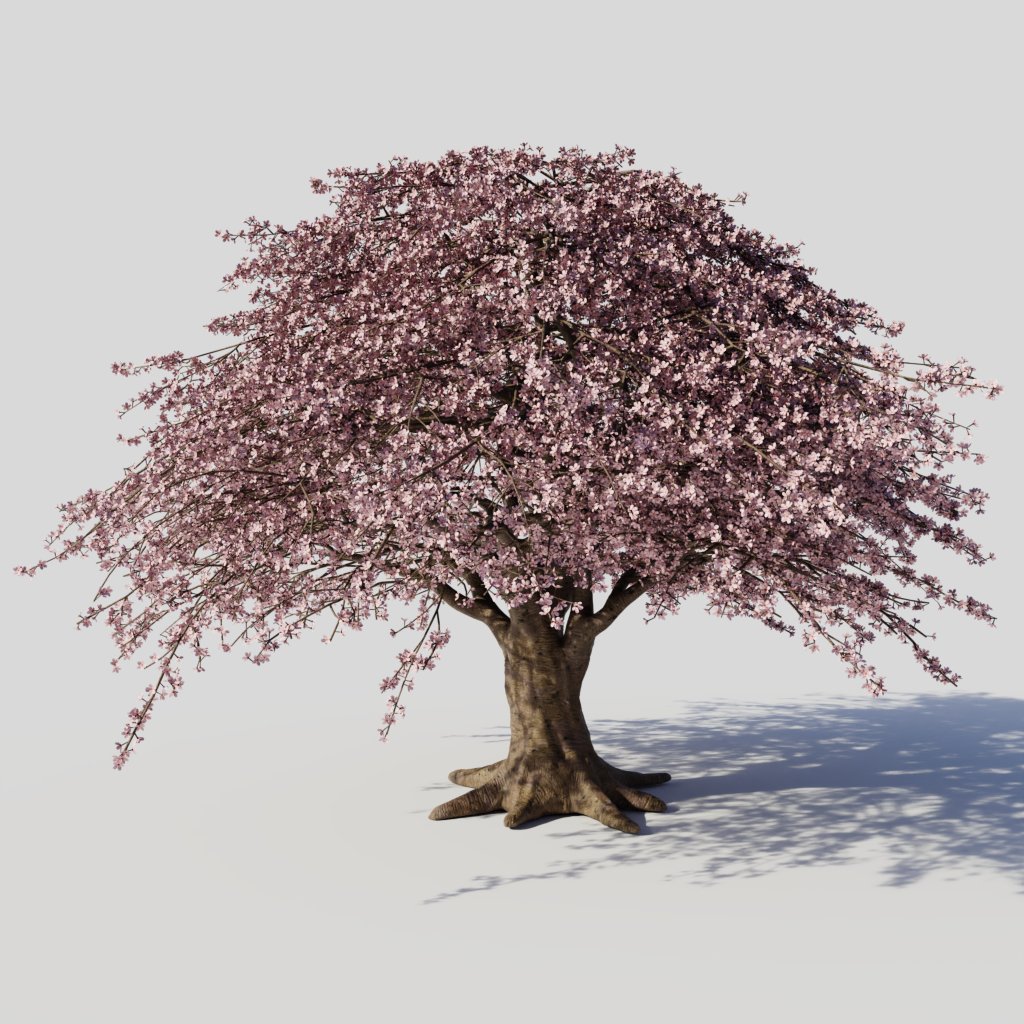 Anime Tree | FREE Trees models | BlenderKit