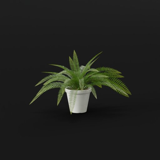 Tropical Fern Sml Pot | Indoor Plants models | BlenderKit
