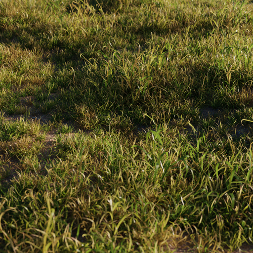 Grass - Particle System | Grass models | BlenderKit