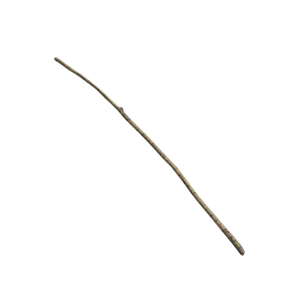 Debris and twigs | FREE Trees models | BlenderKit