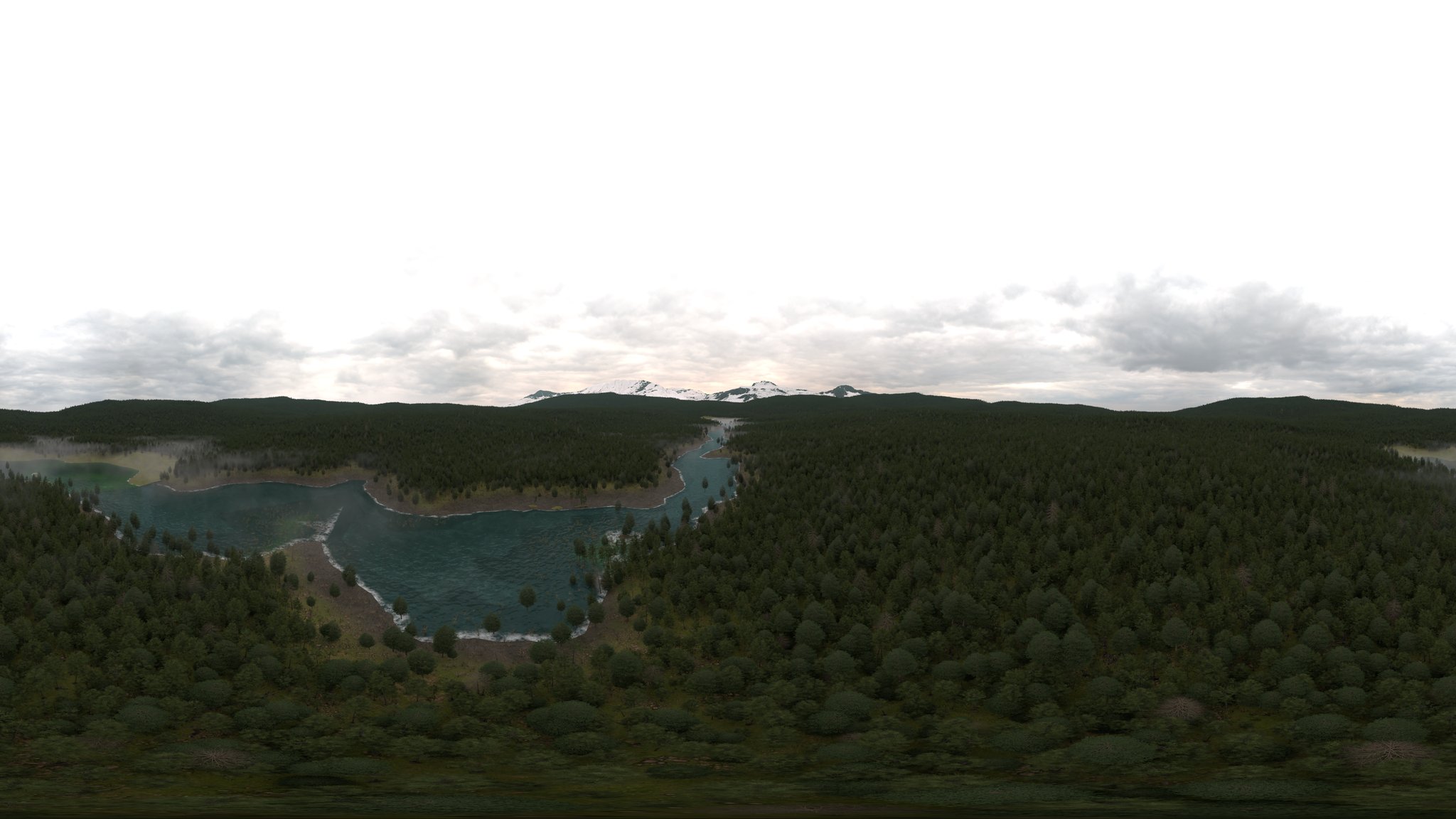 Overcast Day over Forest | Nature HDRis | BlenderKit