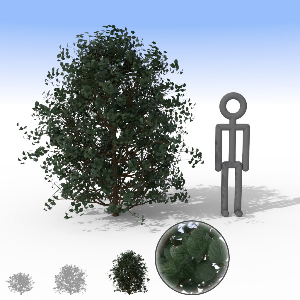 Dark Shiny Leaf Bush - Large | Outdoor Plants models | BlenderKit
