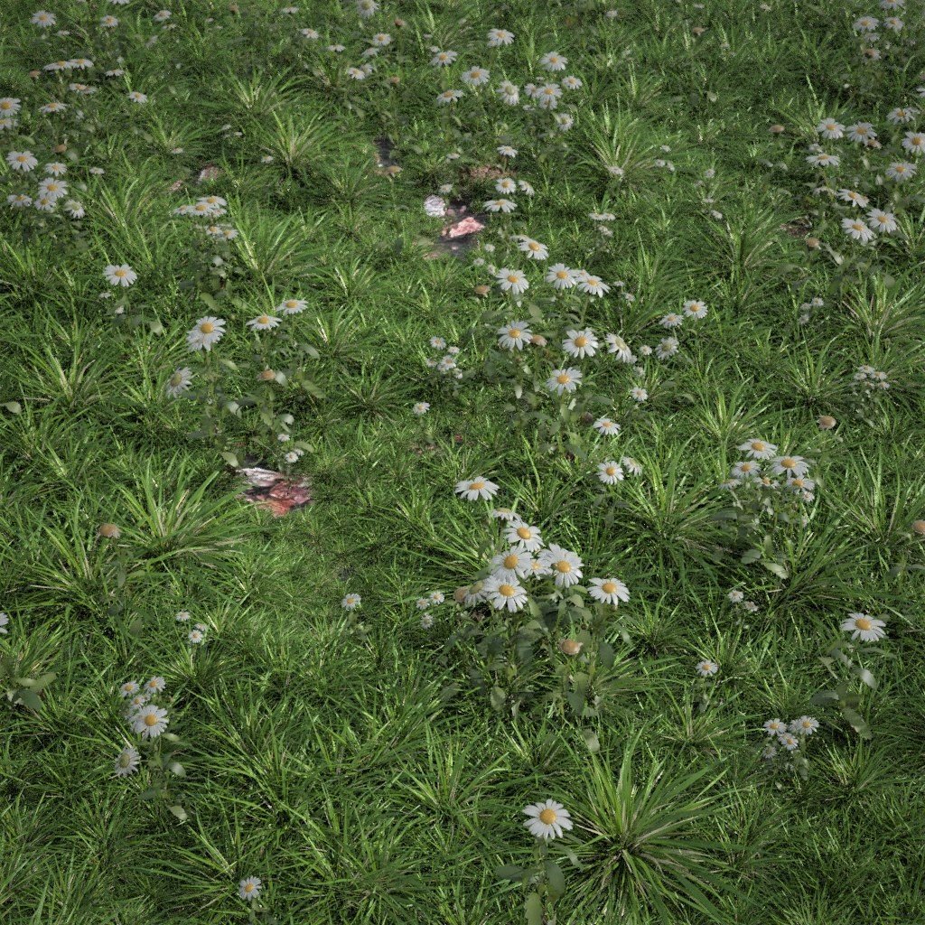 Wild Grass with chamomile Large area | FREE Grass models | BlenderKit