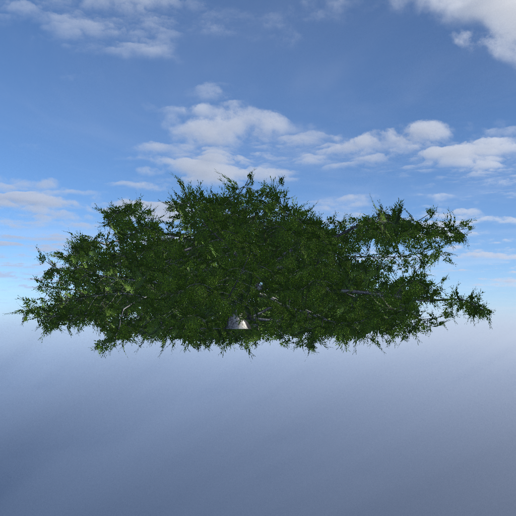 Alpha Plane Alpine Evergreen Shrub | Plants models | BlenderKit