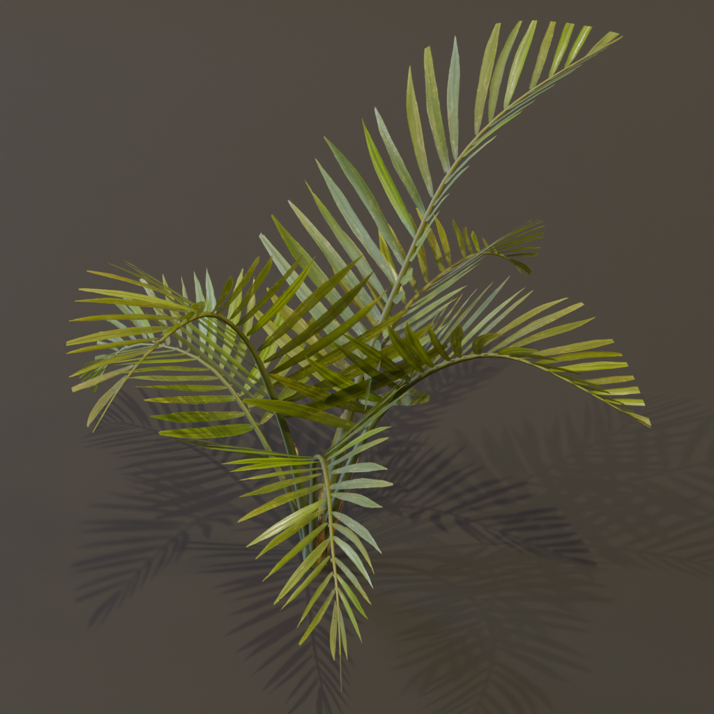 Alexandra Palm Plant Elder | FREE Outdoor Plants models | BlenderKit