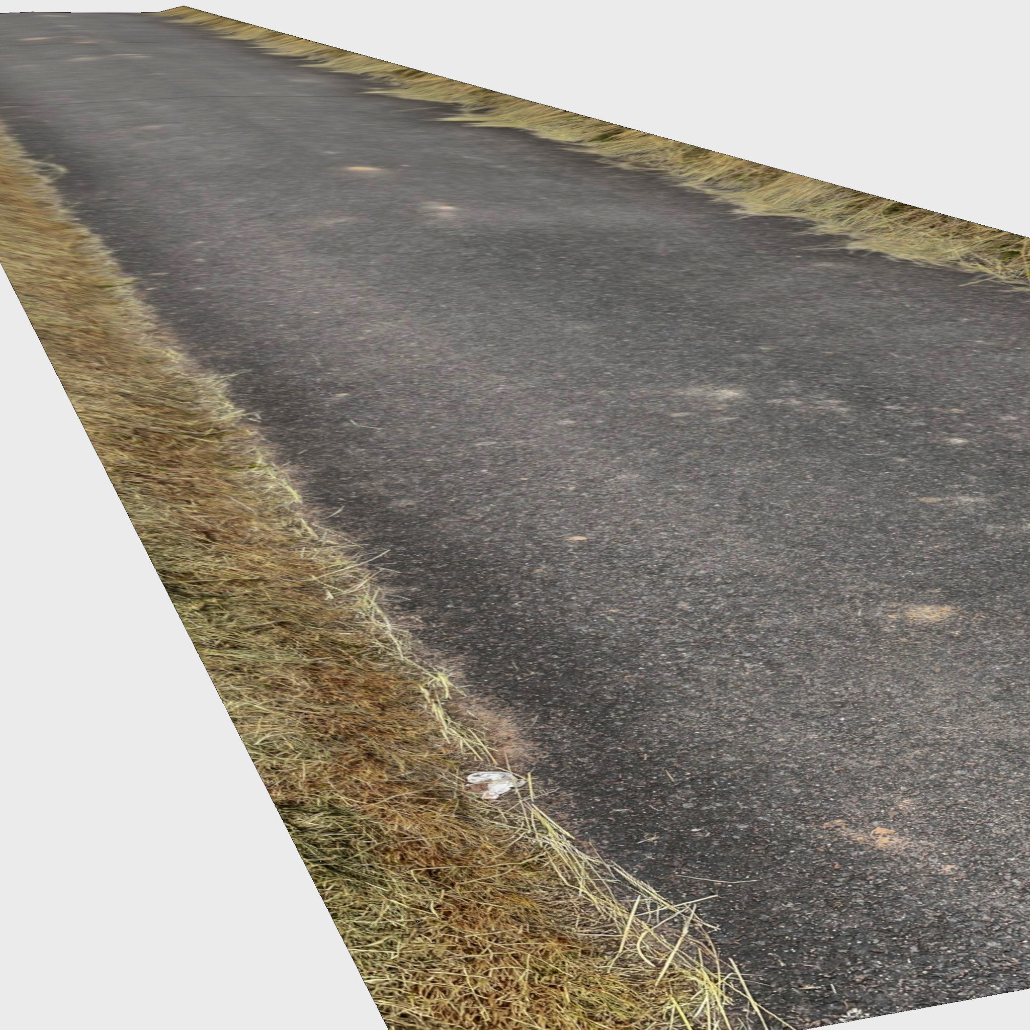 Asphalt street at farm | Urban Environment models | BlenderKit