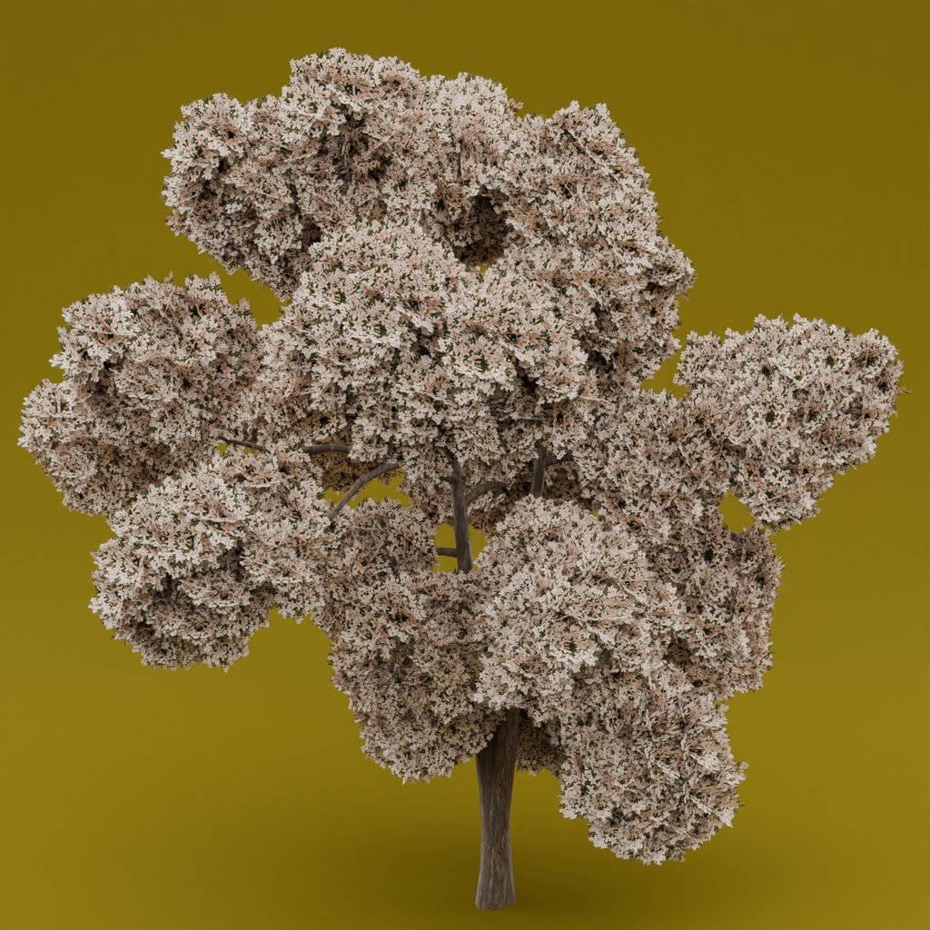 White flowered-light green leaved tree | Trees models | BlenderKit