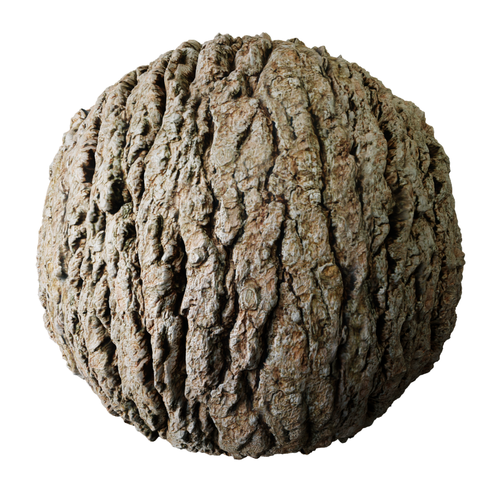 Tree Bark | FREE wood materials | BlenderKit