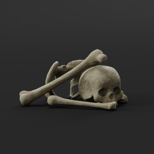 Fully rigged human skeleton | Human Skeletons models | BlenderKit