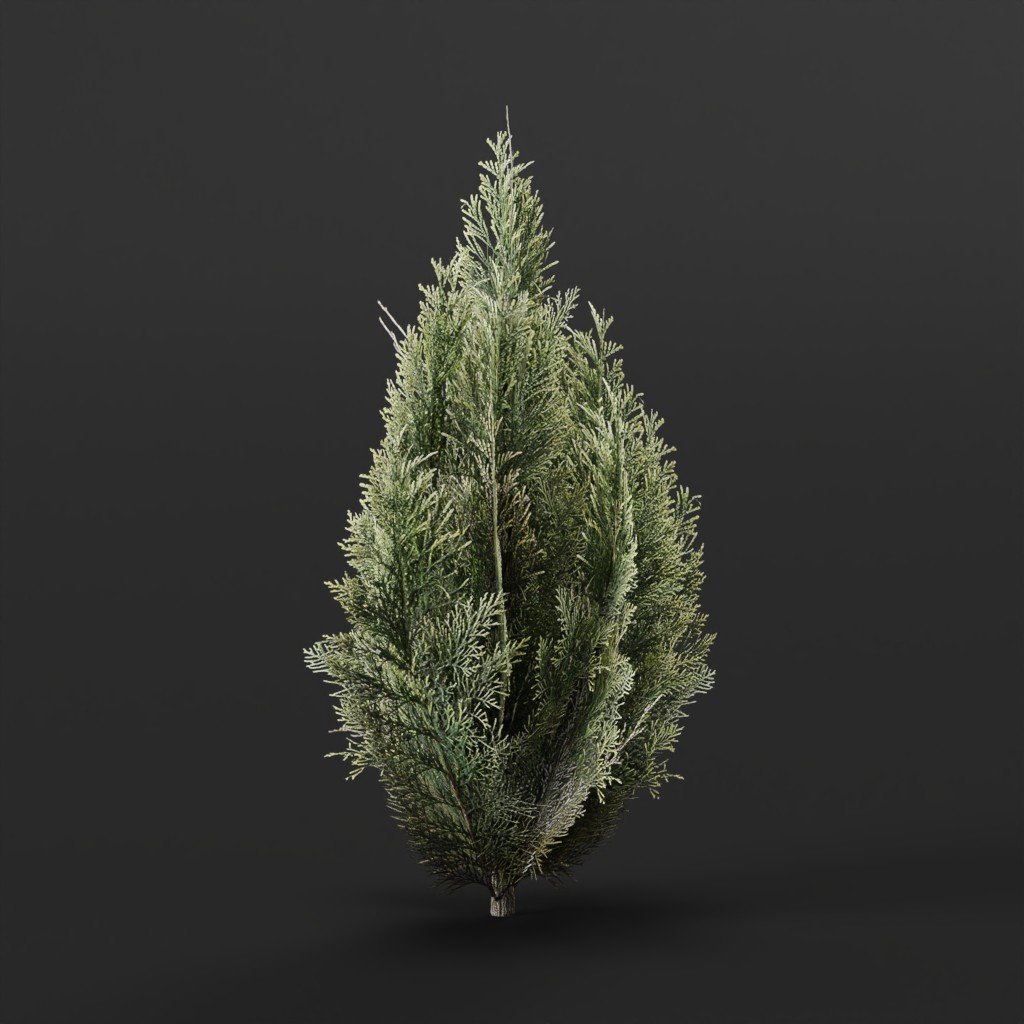 Red Cedar Bush Small Variation | Outdoor Plants models | BlenderKit