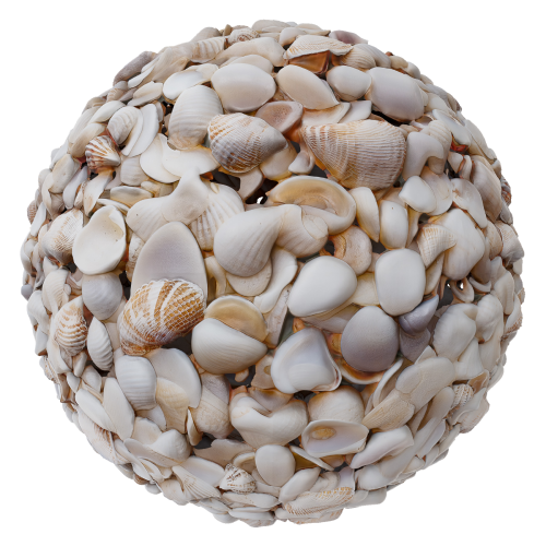 Pile of Shells | FREE organic materials | BlenderKit