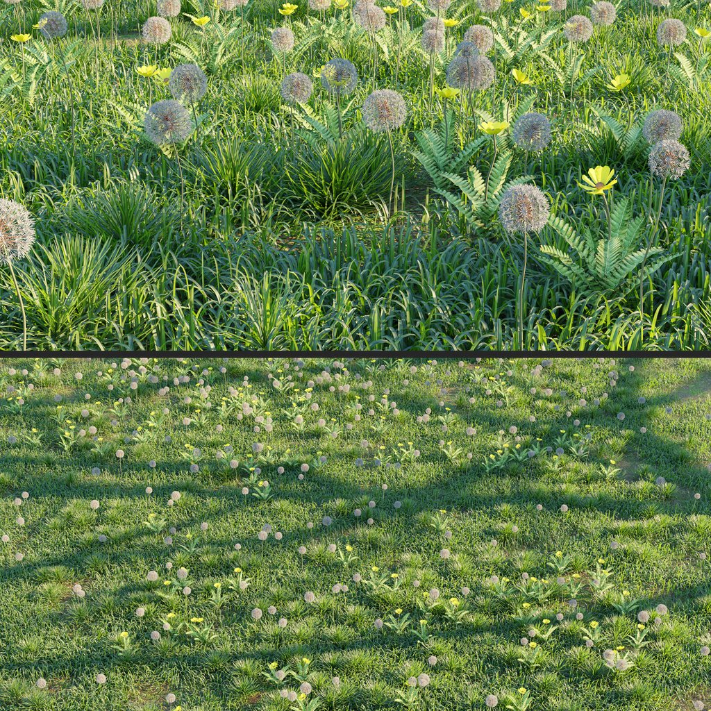Grass | Grass models | BlenderKit